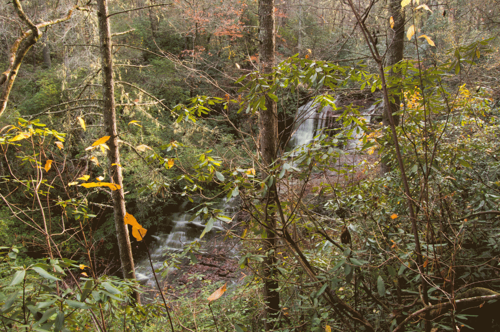 Licklog Falls – The Waterfalls of Oconee County, South Carolina