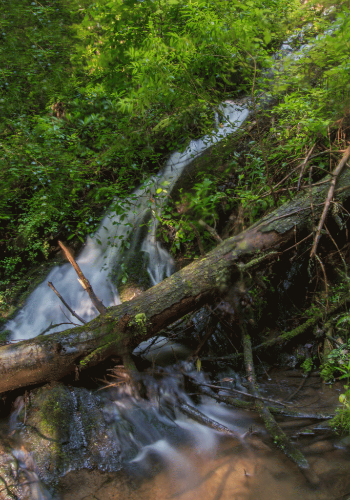 Hell Hole Creek waterfalls – The Waterfalls of Oconee County, South ...