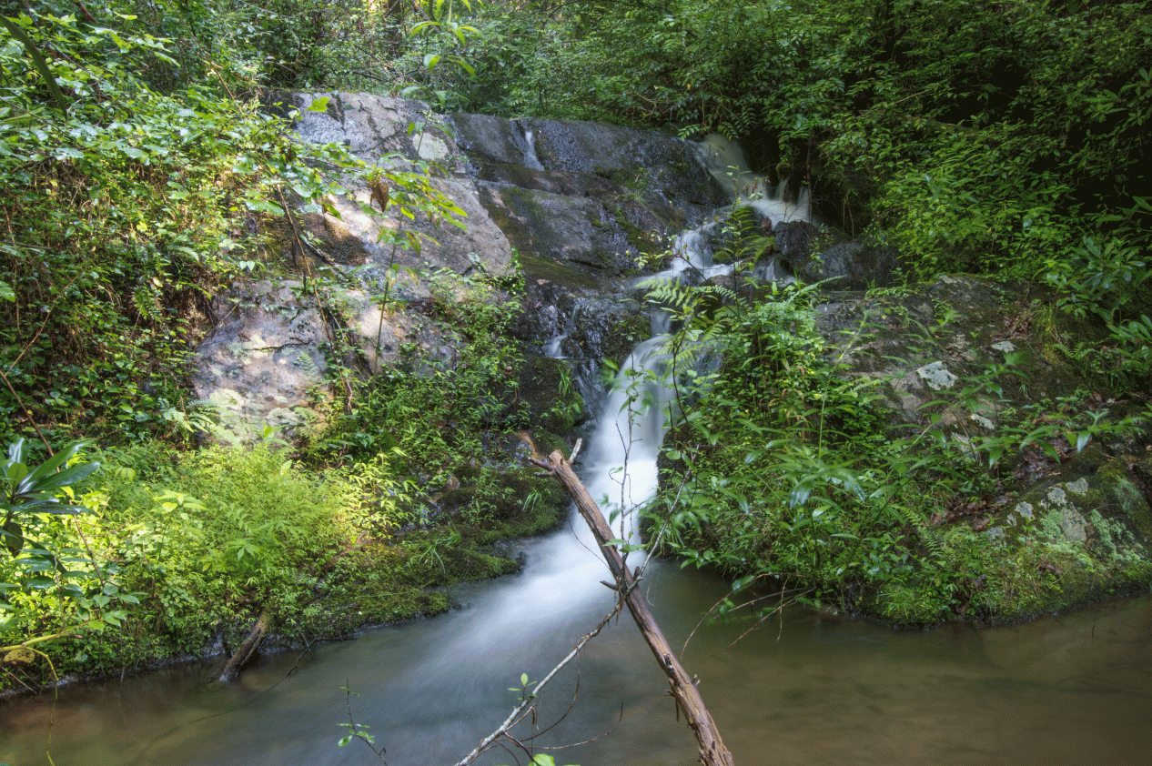 Hell Hole Creek waterfalls – The Waterfalls of Oconee County, South ...